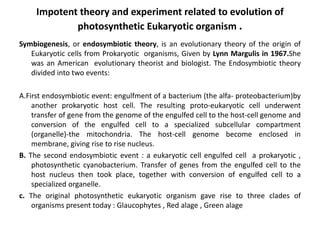 Genome evolution discussion questions | PPTX