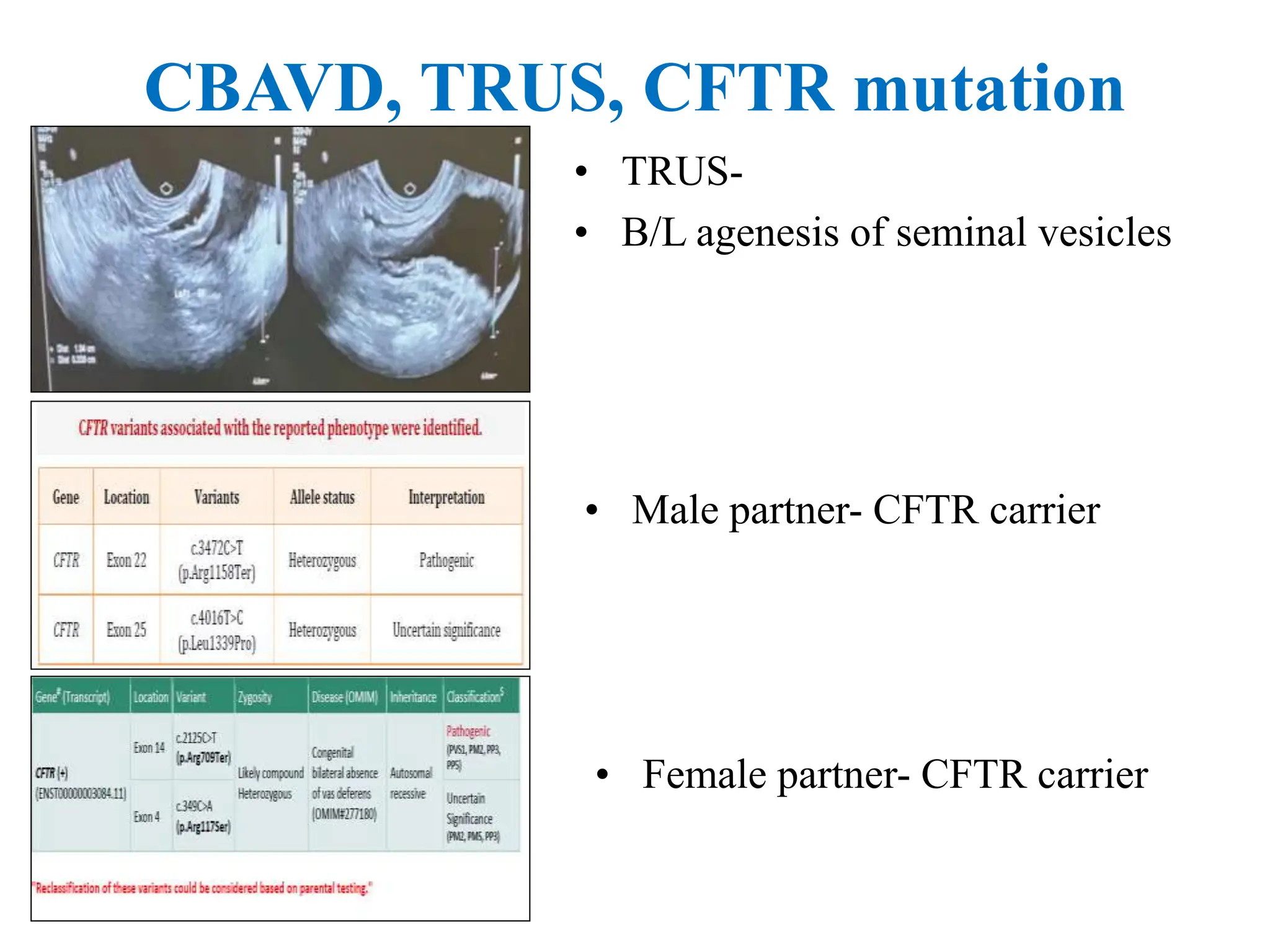 Male Infertility- How a Gynaecologist can Manage? | PPTX