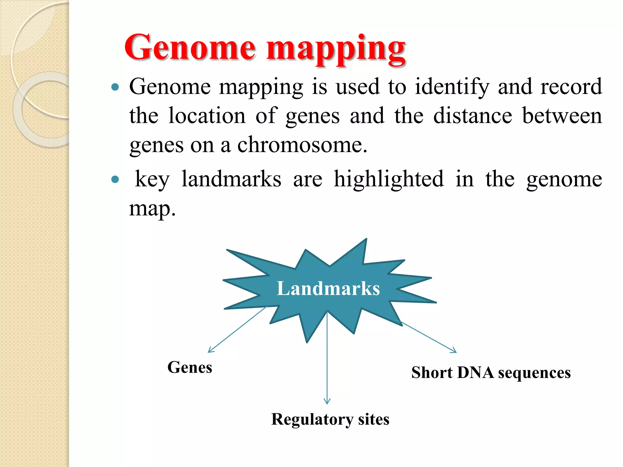 Brief Detail on Genetic Mapping | PPTX