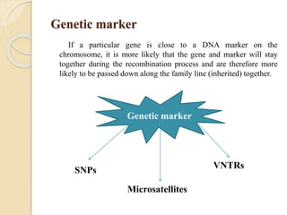 Brief Detail on Genetic Mapping | PPTX