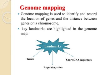 Genome Map Key