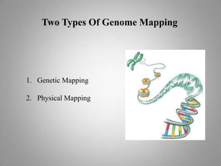 Genome mapping | PPTX