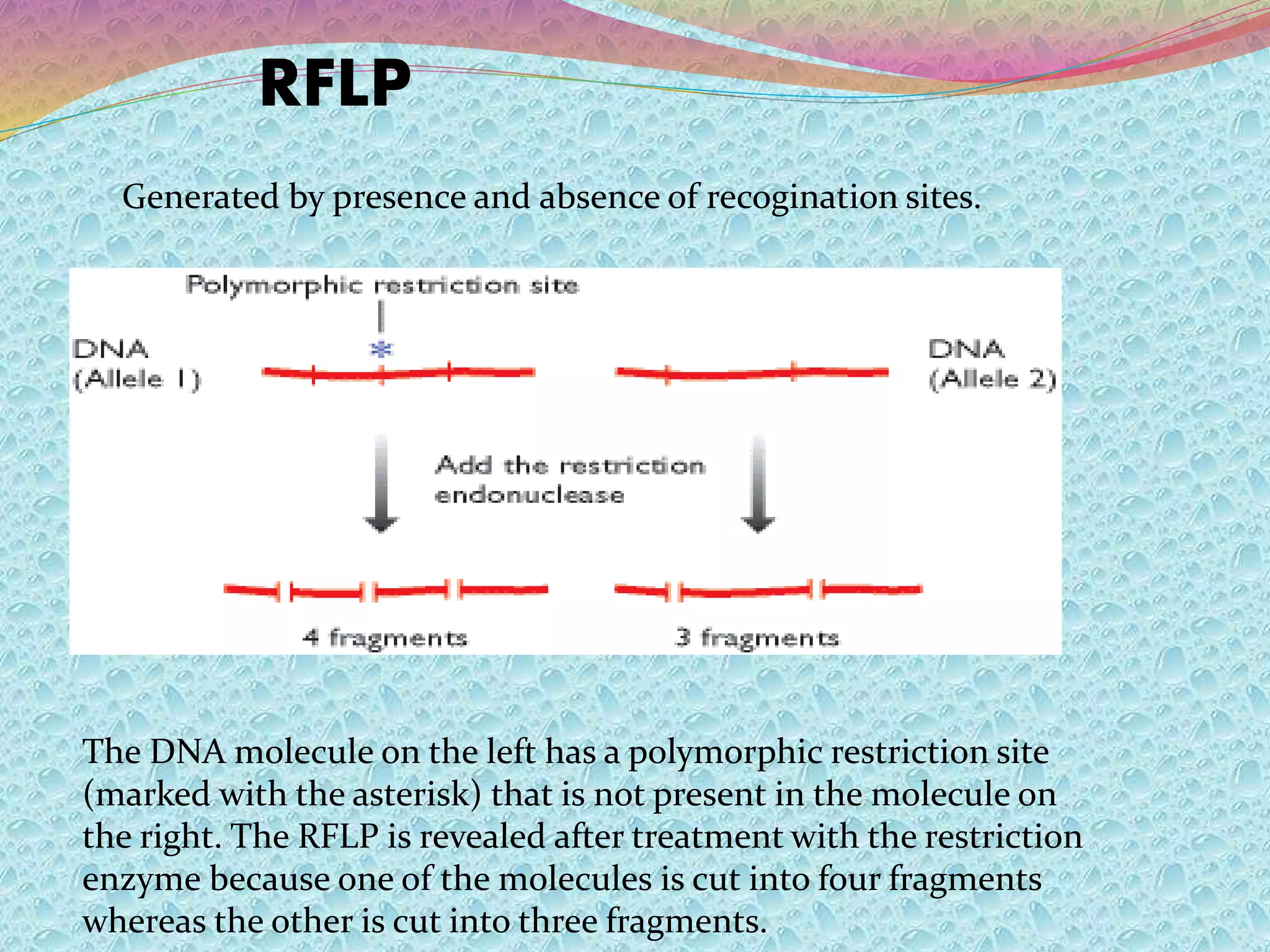 Genetic and Physical map of Genome | PPTX