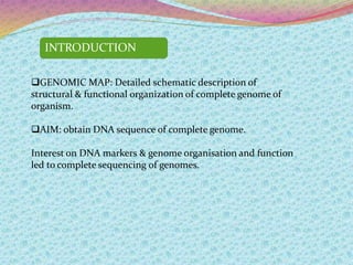 Genetic and Physical map of Genome | PPTX
