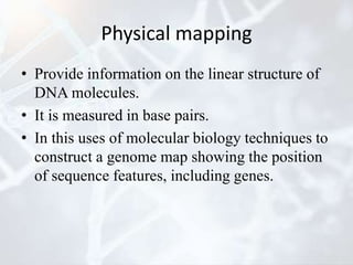 Genome mapping | PPTX | Genetics | Science