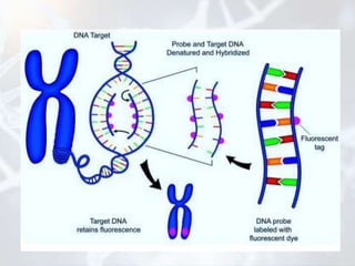 Genome mapping | PPTX