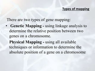 Genome mapping | PPTX | Genetics | Science