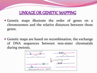 Genome mapping | PPTX