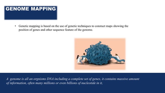 Genome Mapping And Biological Resources Slides.pptx