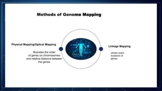 Genome Mapping And Biological Resources Slides.pptx