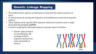 Genome Mapping And Biological Resources Slides.pptx