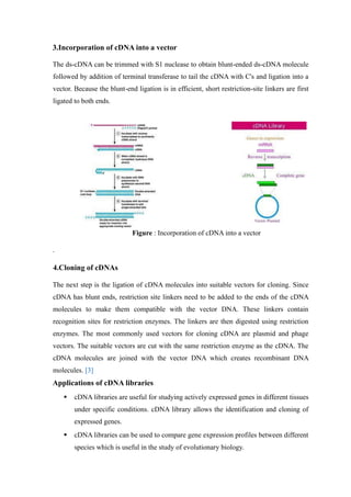 Genome Mapping -Assignment ( Molecular Biology) | PDF