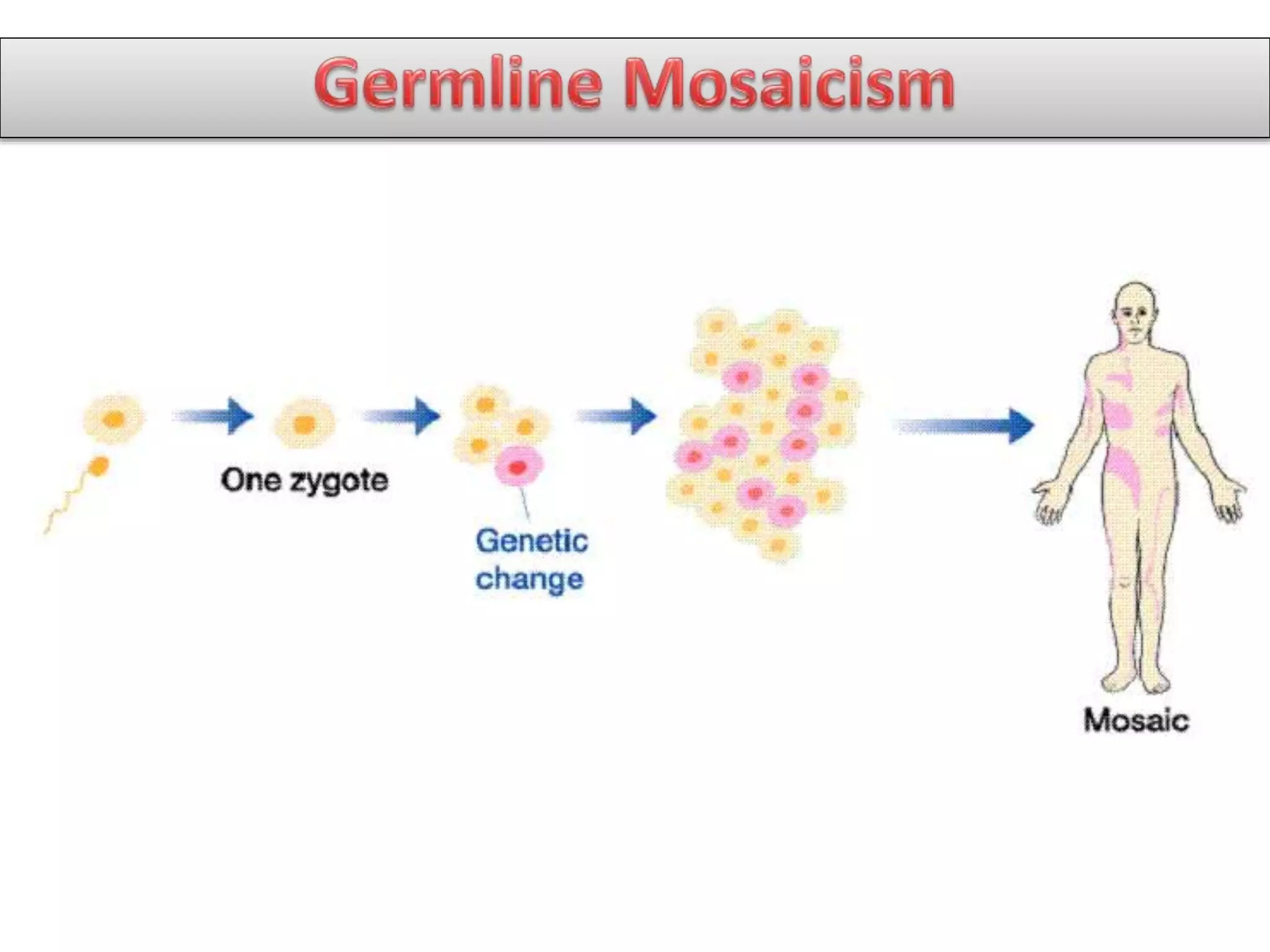 Genome mosaicism | PPTX