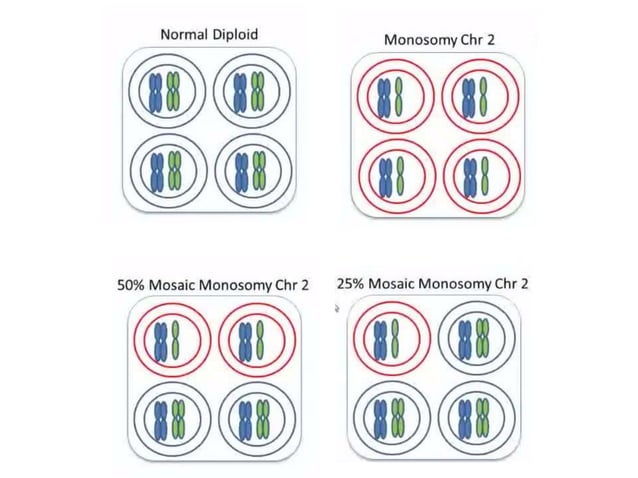 Genome mosaicism | PPTX | Genetics | Science