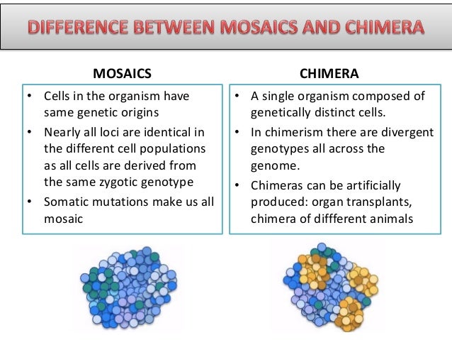 Genome mosaicism