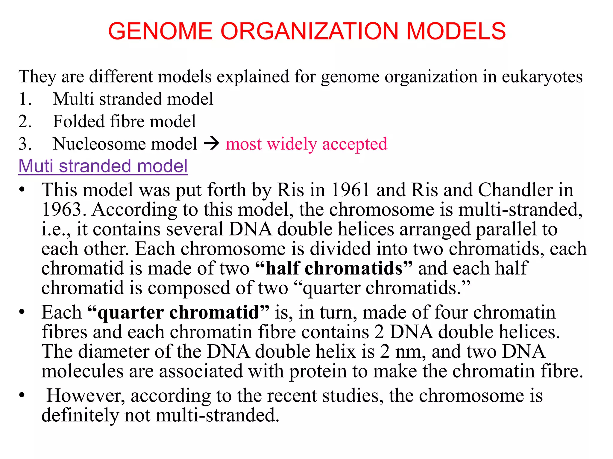 Genome organization in eukaryotes (molecular biology) | PPTX
