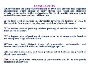 Genome organization in eukaryotes (molecular biology) | PPTX
