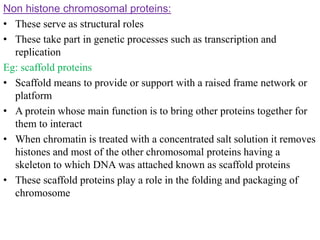 Genome organization in eukaryotes (molecular biology) | PPTX