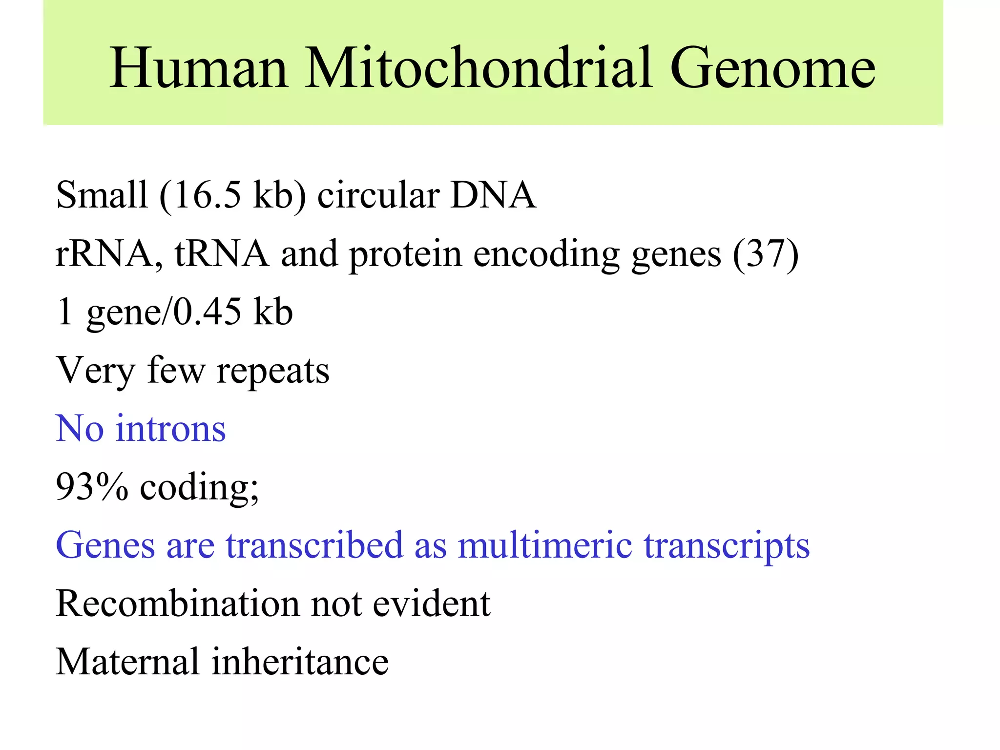 Genome organisation in eukaryotes...........!!!!!!!!!!! | PPT