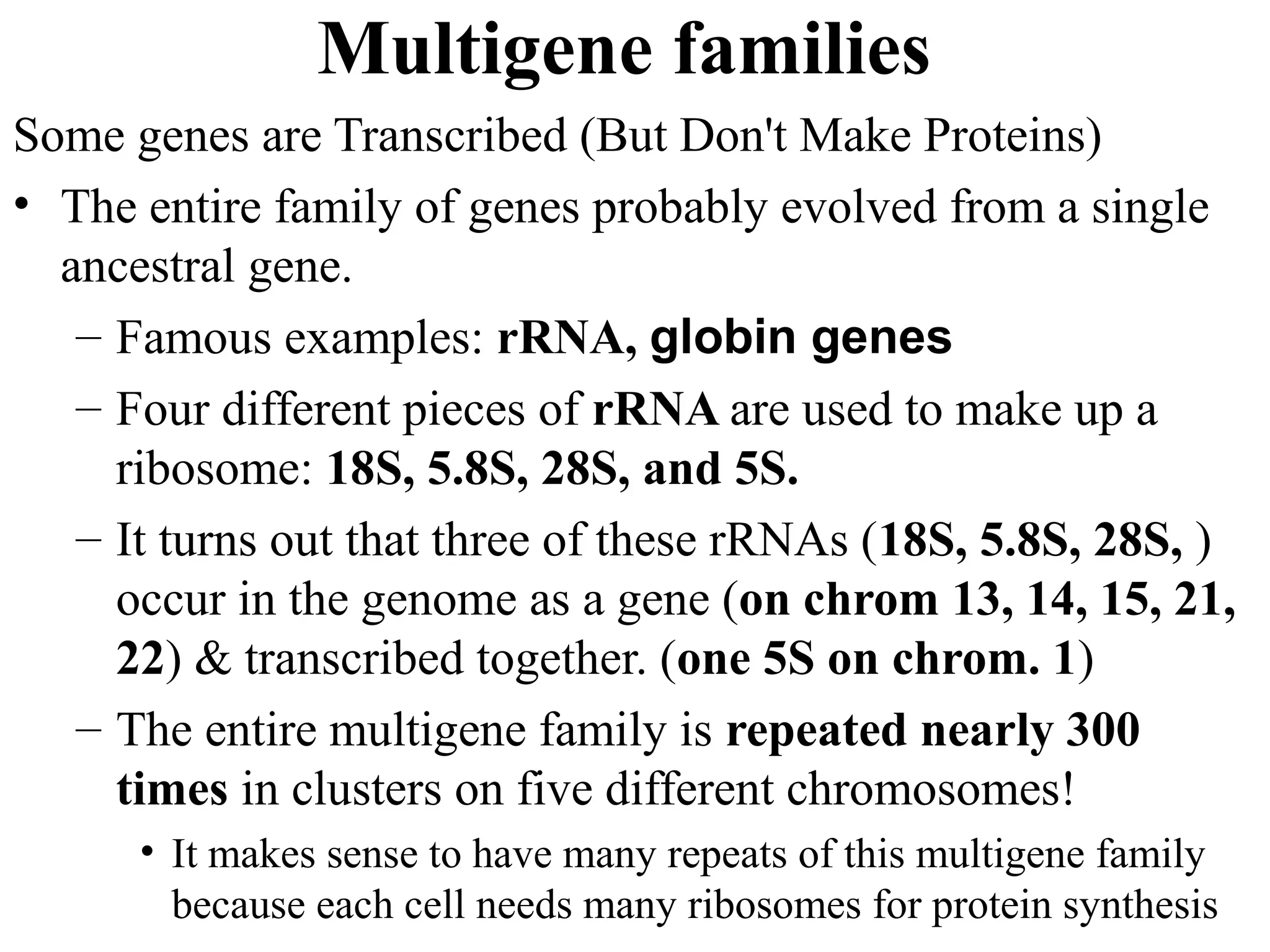 Genome organisation in eukaryotes...........!!!!!!!!!!! | PPT