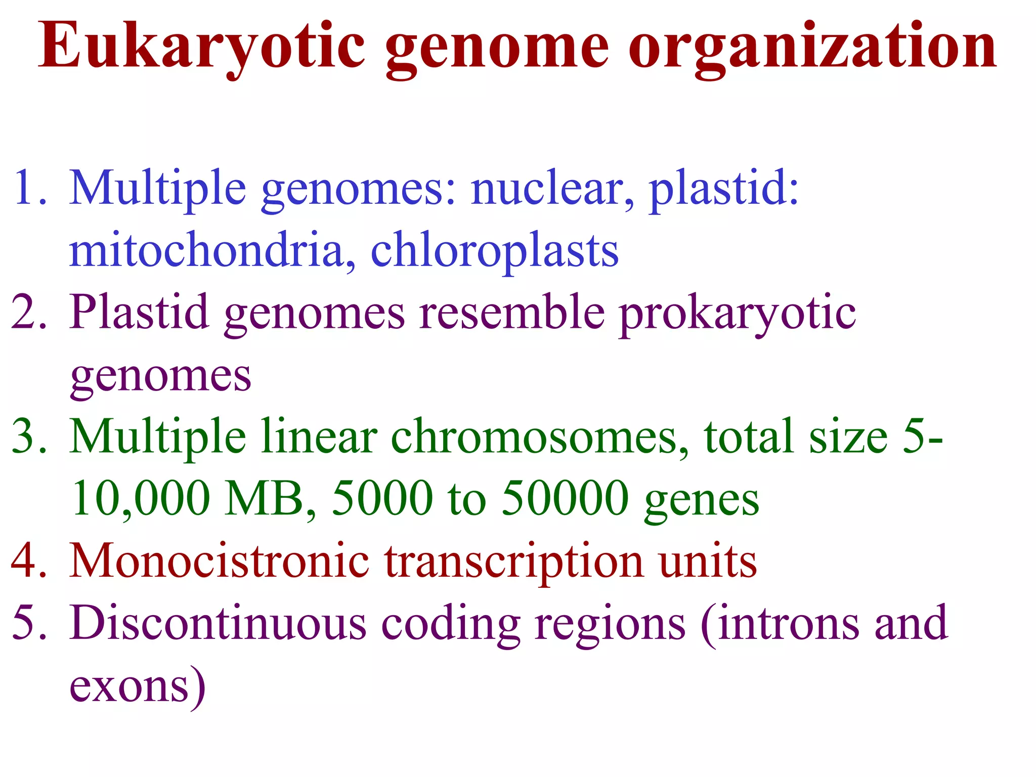 Genome organisation in eukaryotes...........!!!!!!!!!!! | PPT