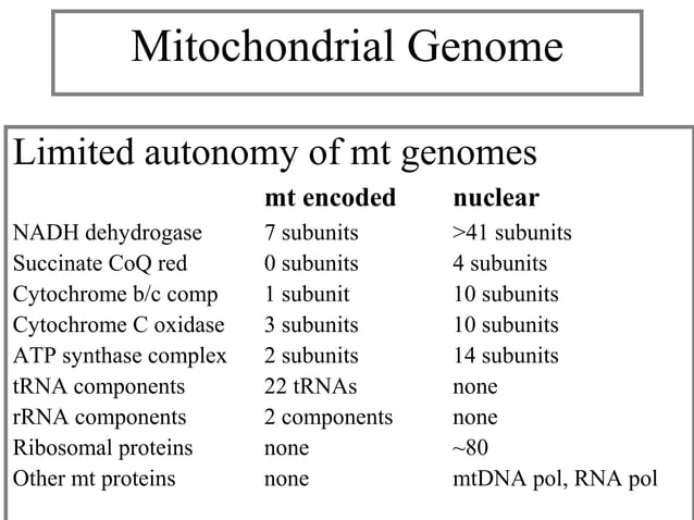 Genome organisation in eukaryotes...........!!!!!!!!!!! | PPT ...