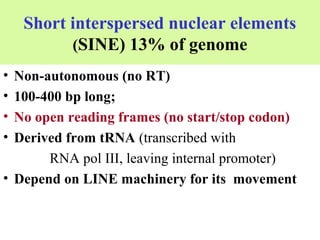 Genome organisation in eukaryotes...........!!!!!!!!!!! | PPT