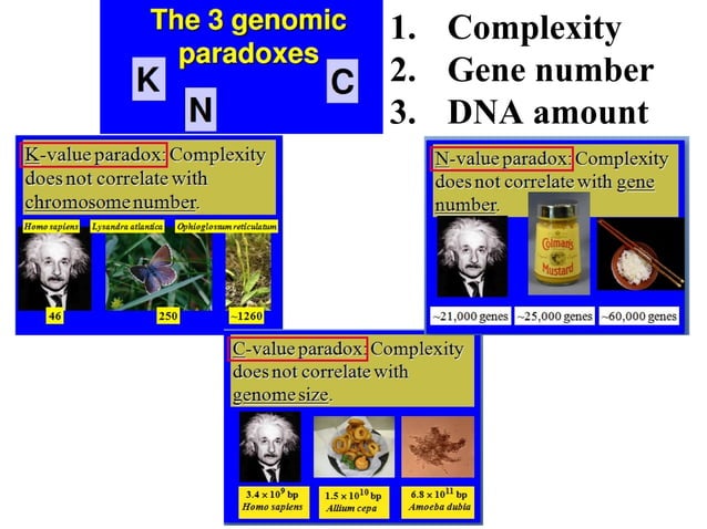 Genome organisation in eukaryotes...........!!!!!!!!!!! | PPT ...