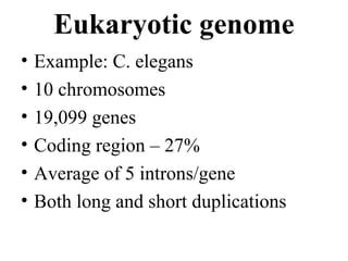Genome organisation in eukaryotes...........!!!!!!!!!!! | PPT