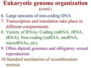 Genome organisation in eukaryotes...........!!!!!!!!!!! | PPT