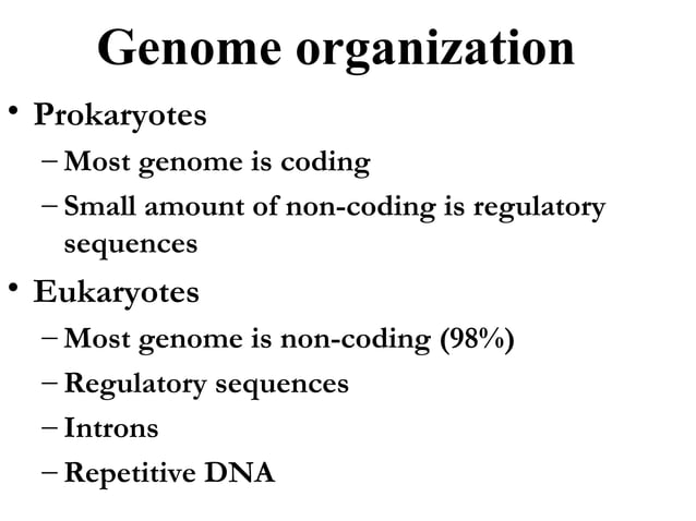 Genome organisation in eukaryotes...........!!!!!!!!!!!