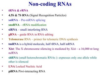 Genome organisation in eukaryotes...........!!!!!!!!!!! | PPT