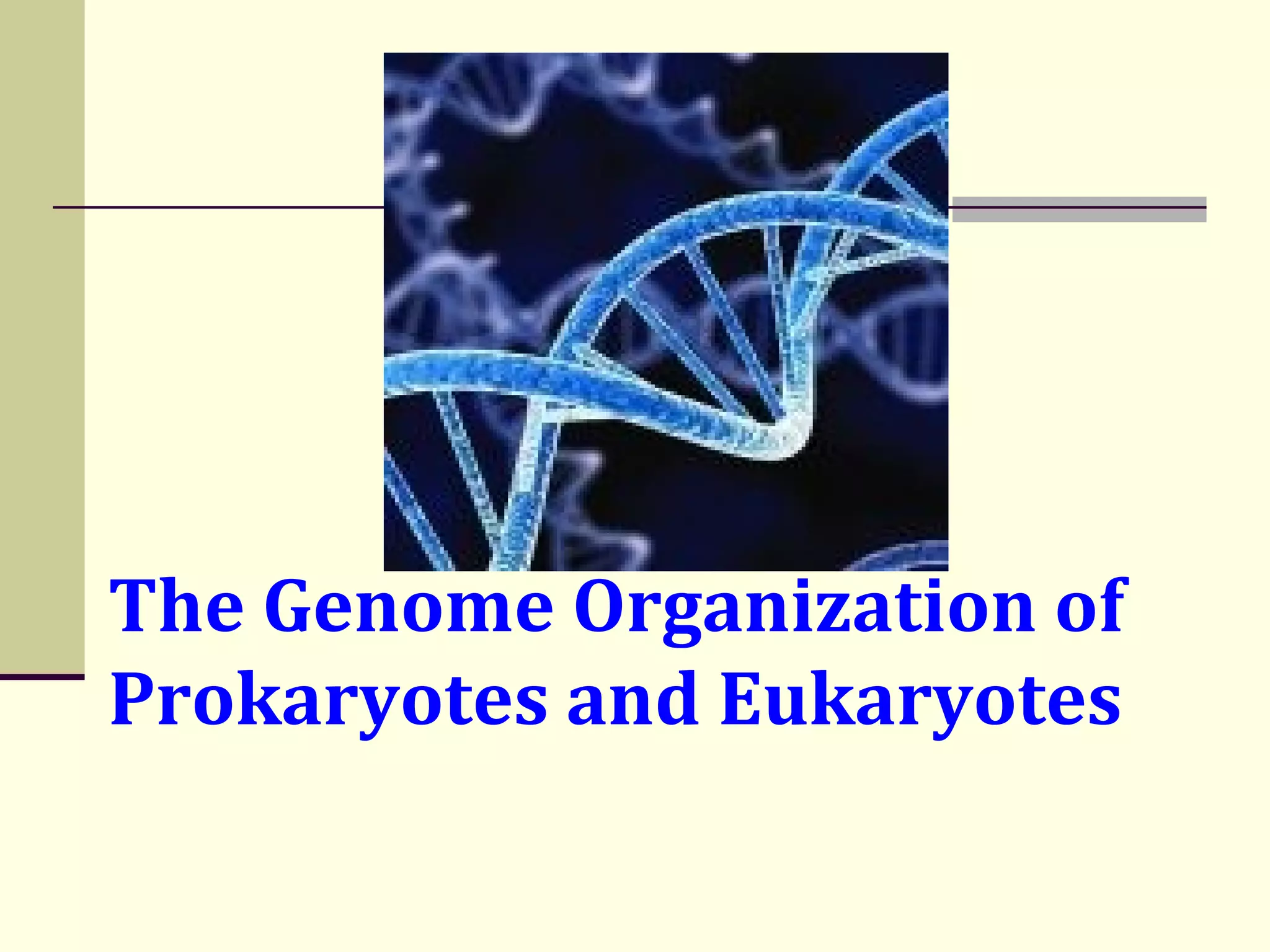 Genome organisation | PPT