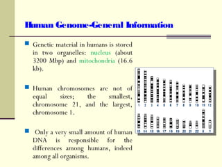 Genome organisation | PPT