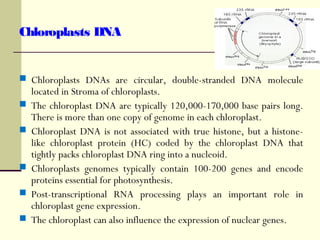 Genome organisation | PPT