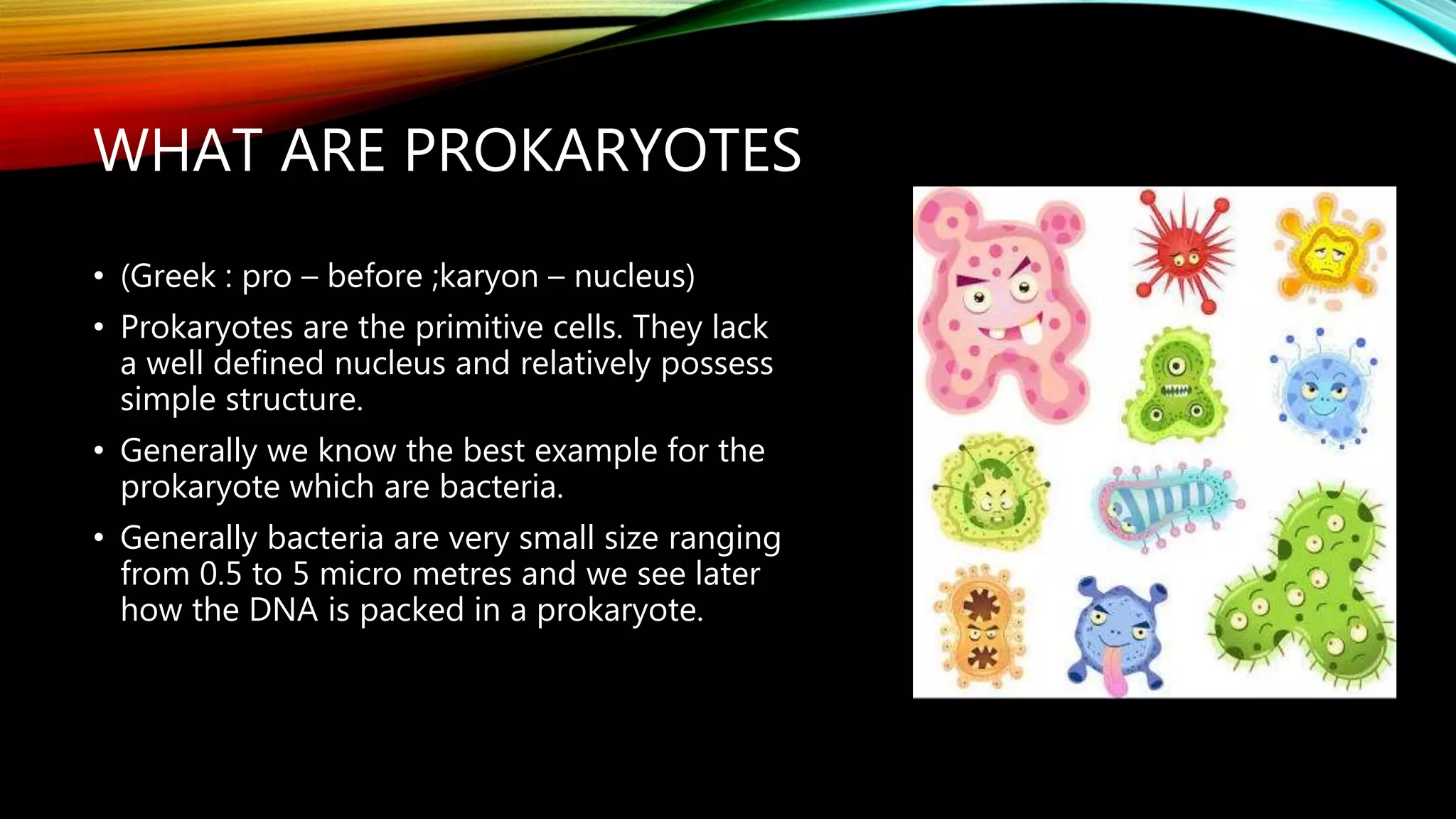 Genome organisation in prokaryotes and eukaryotes | PPTX