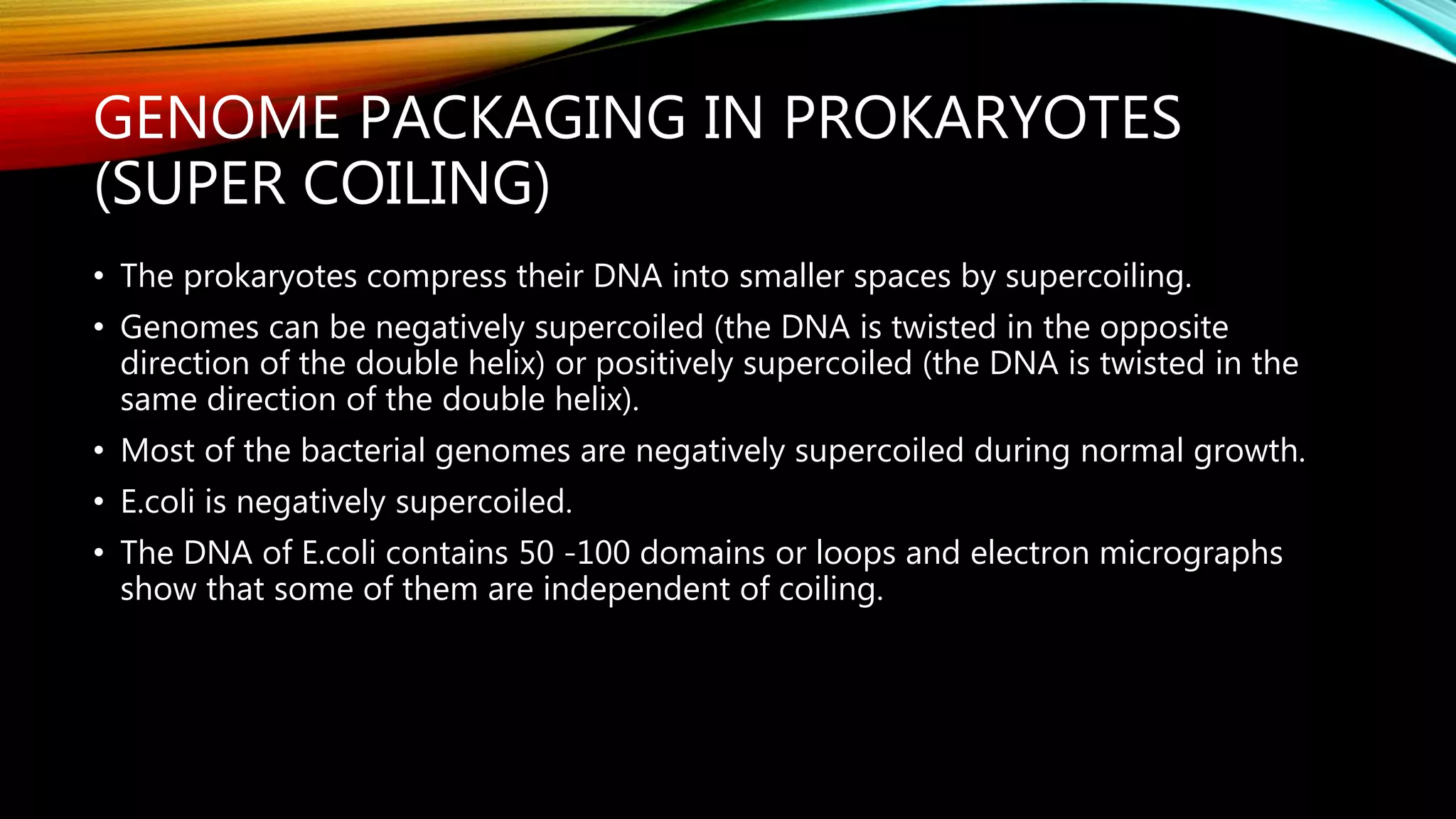 Genome organisation in prokaryotes and eukaryotes | PPTX
