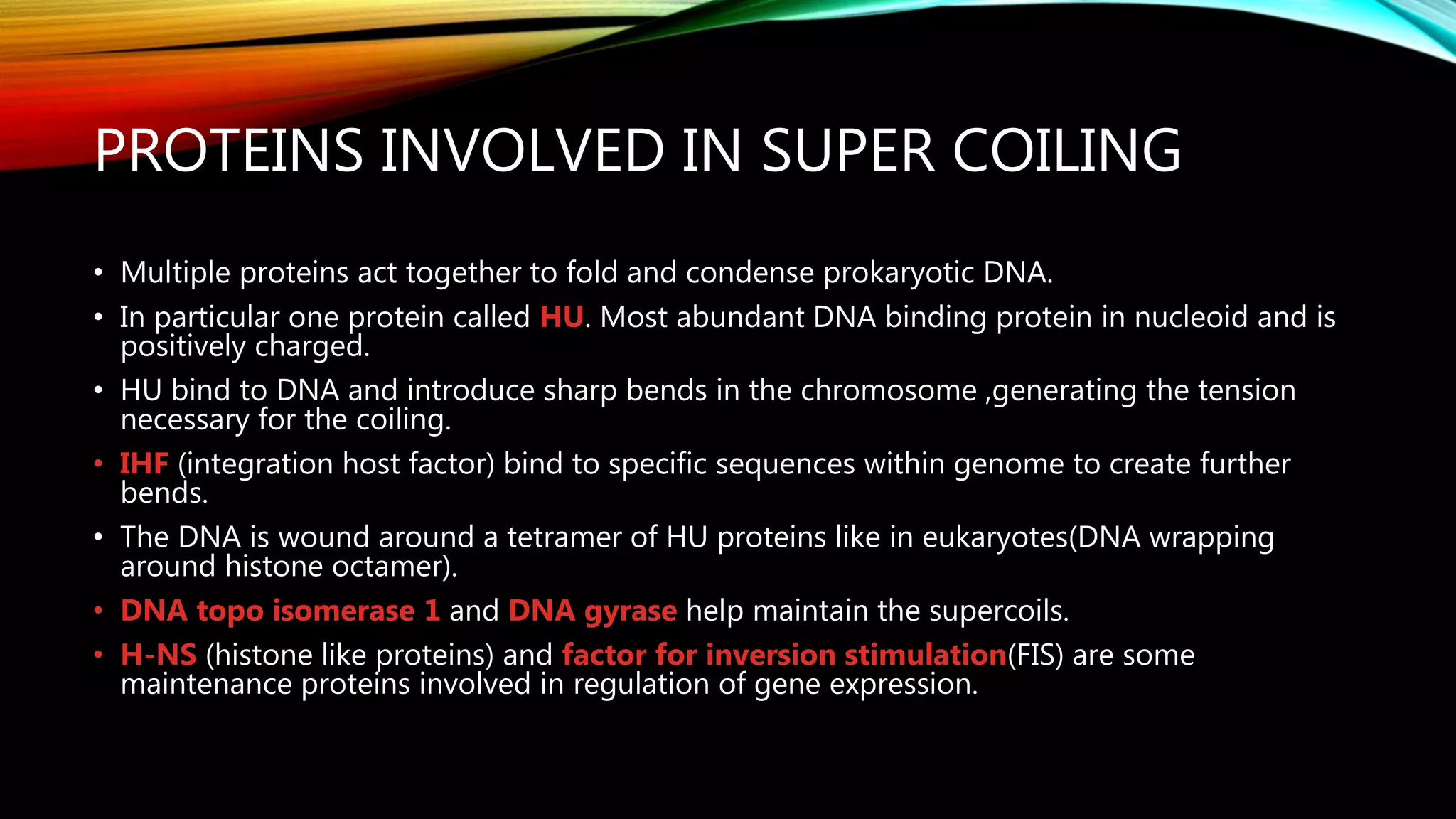Genome organisation in prokaryotes and eukaryotes | PPTX