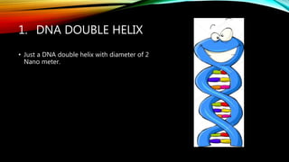Genome organisation in prokaryotes and eukaryotes | PPTX