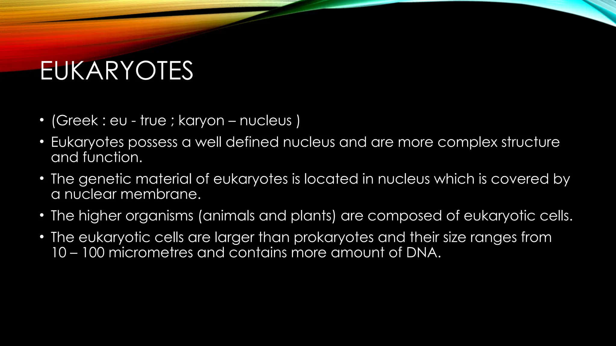 genome organisation in prokaryotes and eukaryotes.pptx