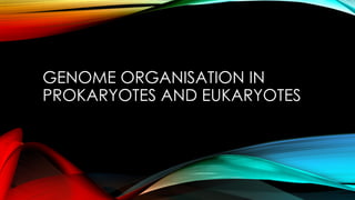 genome organisation in prokaryotes and eukaryotes.pptx