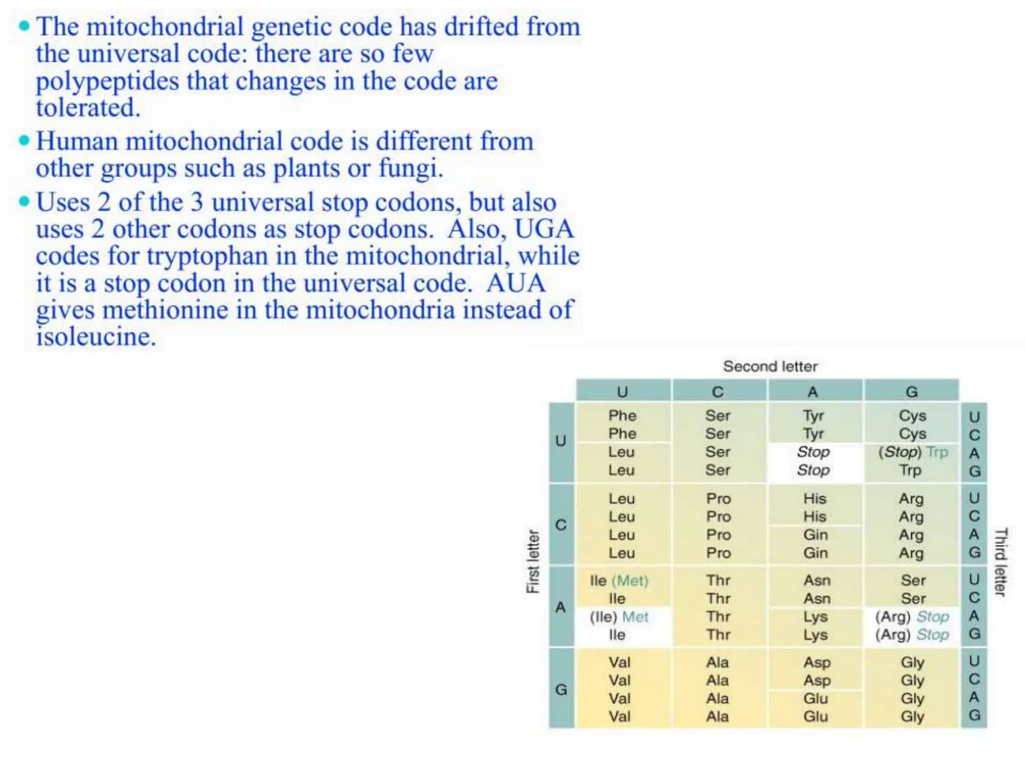 Genome organisation of Mitochondria.pptx
