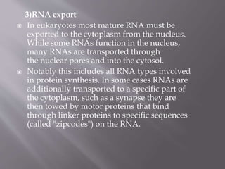 Genome organization ,gene expression sand regulation | PPTX