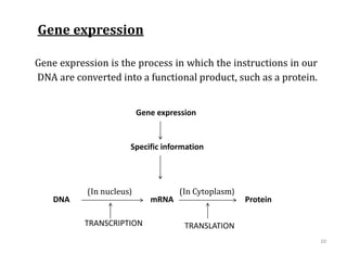 Genome organization | PPTX