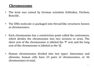 Genome organization | PPTX