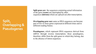 Genome organization | PDF