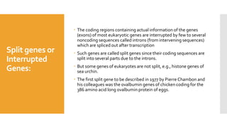 Genome organization | PDF