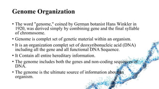 Genome organization.pptx