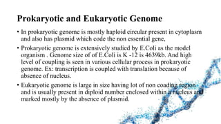 Genome organization.pptx