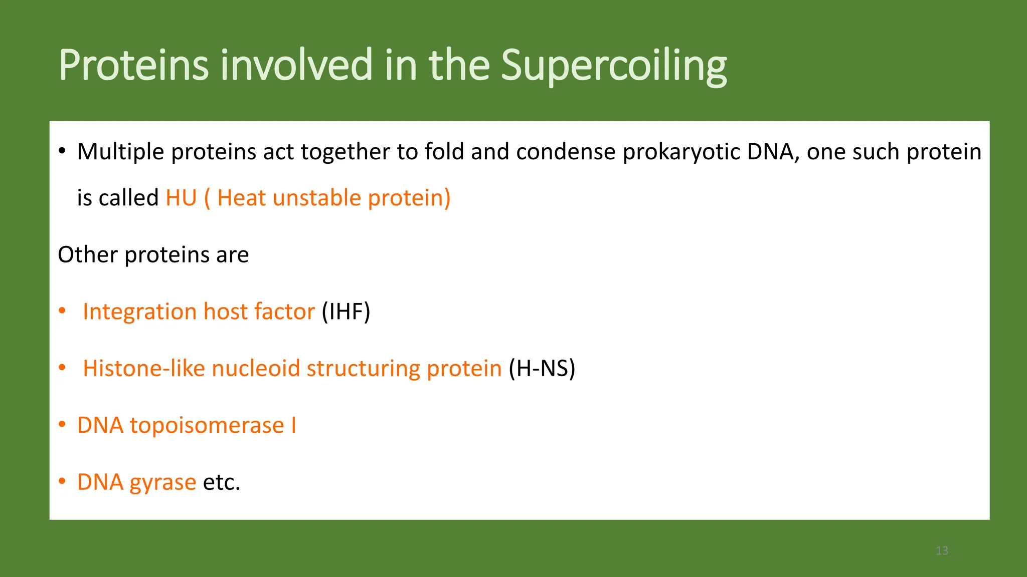 Genome organization in virus,bacteria and eukaryotes.pptx